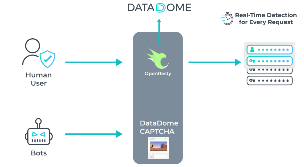 DataDome Releases OpenResty Integration - Security Boulevard