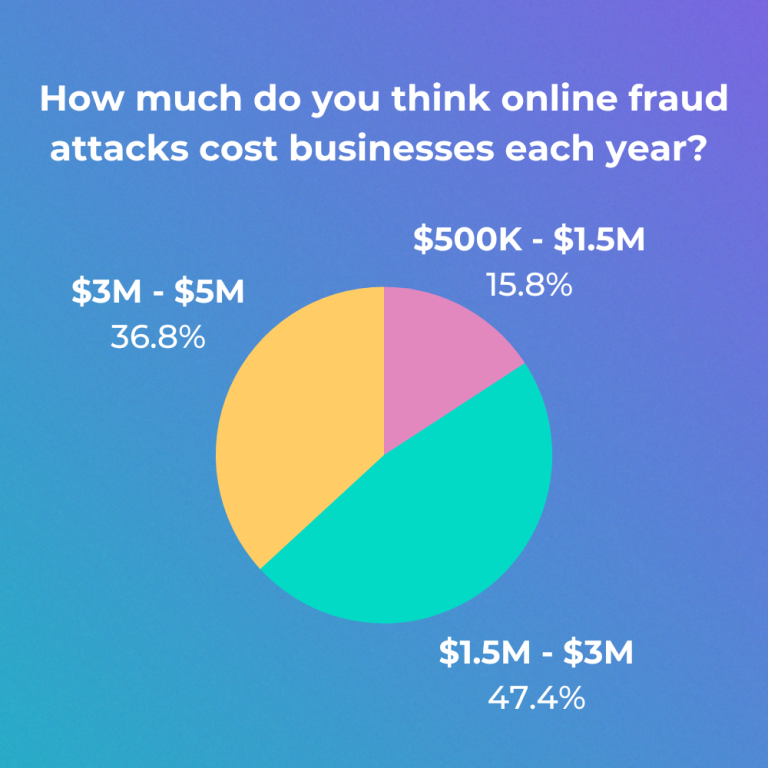 Online Fraud is Costing Your Business More Than You Think: Insights ...