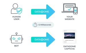 Bot Protection Solution | DataDome