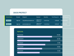 DDoS Protect | Stop advanced layer 7 DDoS attacks