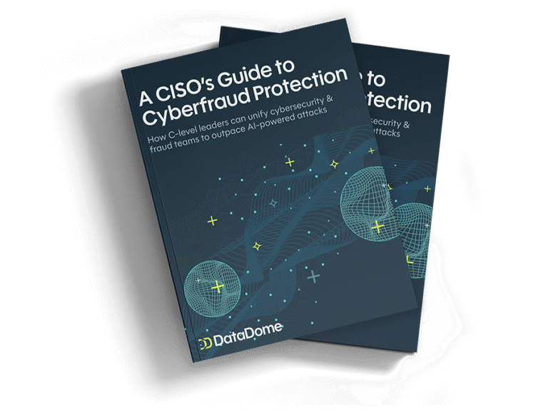 Cyber Fraud - Everything you need to know